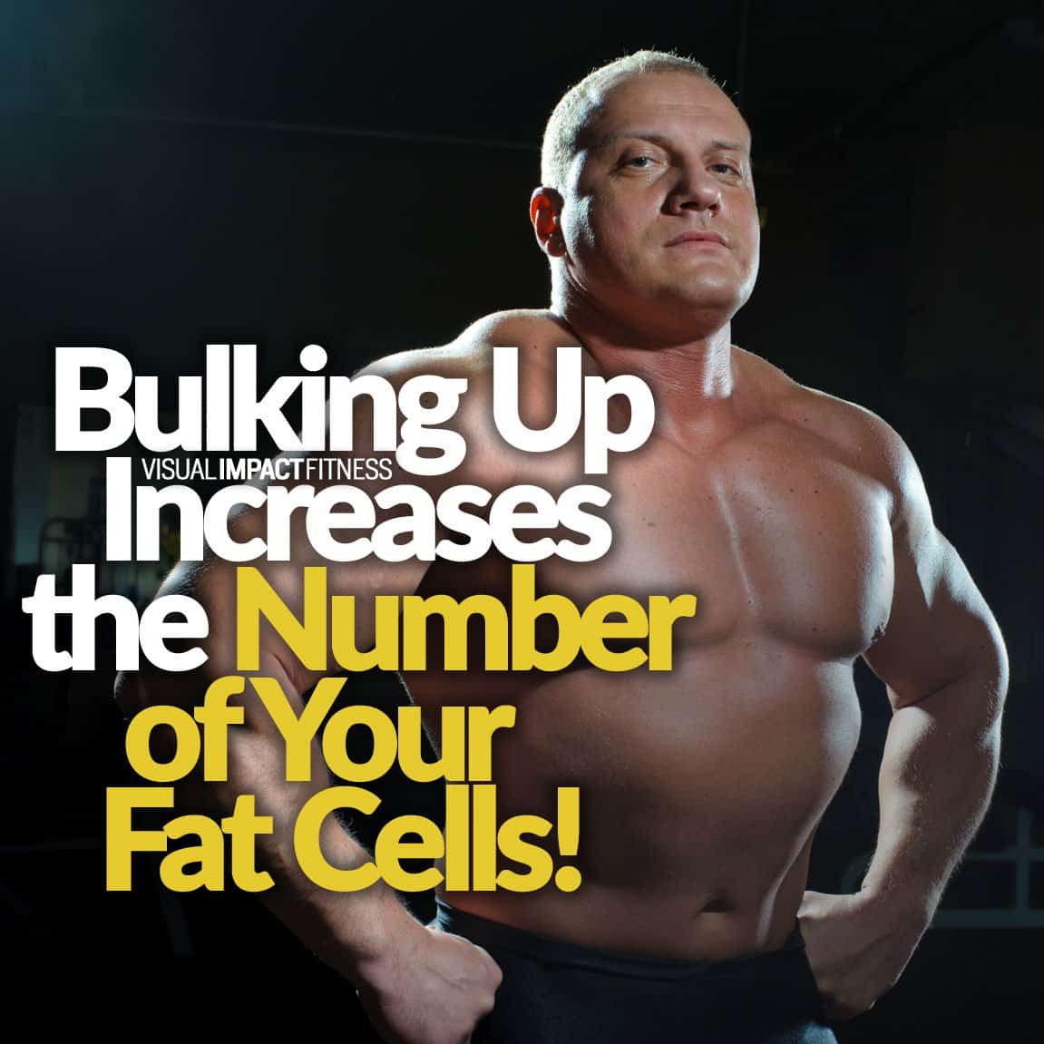 Bulking Up Increases the Number of Your Fat Cells