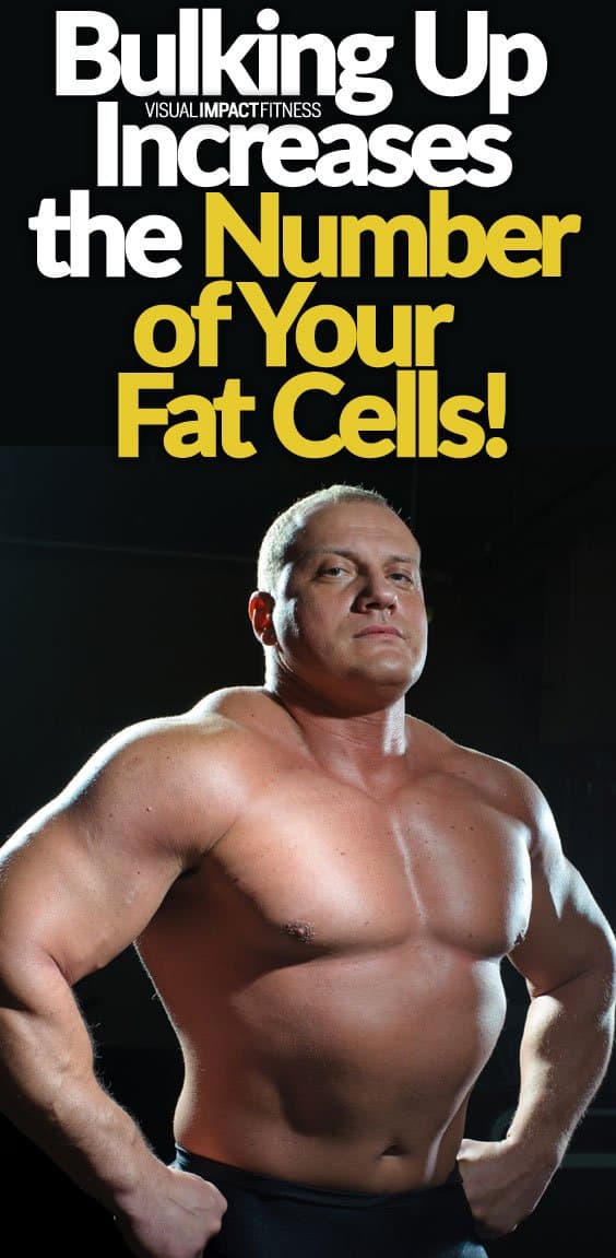Bulking Up Increases the Number of Your Fat Cells